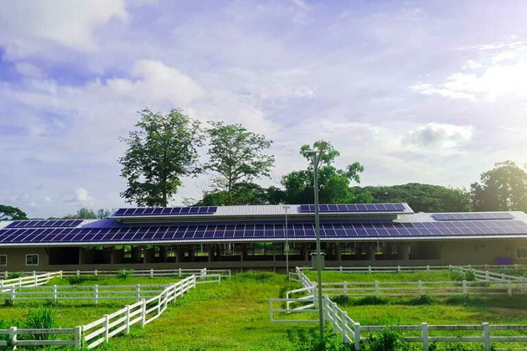 Solar Power System untuk Pertanian dan Perkebunan