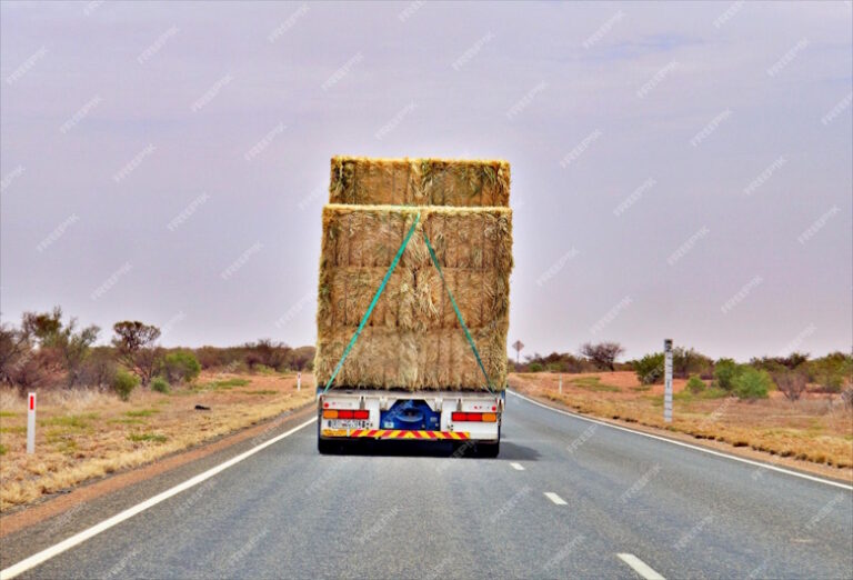 ODOL (Over Load Over Dimension): Pengertian, Dampak, dan Upaya ...